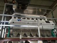 China Coriander Seed Color Sorter TAIWAN Meanwell Power  with 2 Year Warranty for sale