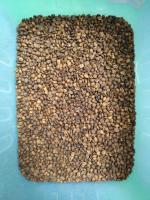 China WENYAO Beans Sorting Machine , Lentil Coffee Color Sorter ISO9001 for sale