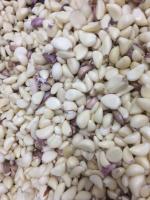China WENYAO Peeled Garlic Vegetable Sorting Machine Automatic computing for sale