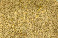 China Lentil ChickPeas RGB Color Sorter Machine Automatic Computing for sale