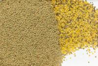 China Lentil ChickPeas RGB Color Sorter Machine Automatic Computing for sale