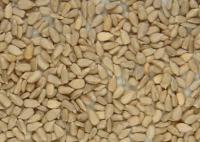 China CCD Camera Sunflower Kernel 2t/H Color Sorter Machine 256 Channels for sale
