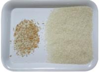 China Mini 1 Chute Rice Colour Sorting Machine With Japan Nikon Lens for sale