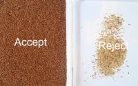 China Optical Multifunctional CCD Rice Colour Sorting Machine For Rice Mill for sale