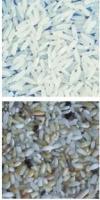 China Optical Multifunctional CCD Rice Colour Sorting Machine For Rice Mill for sale