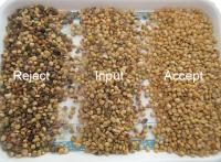 China Automatic CCD RGB Bean Color Sorter for sale