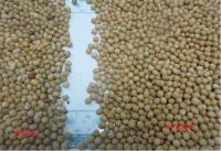 China Automatic CCD RGB Bean Color Sorter for sale