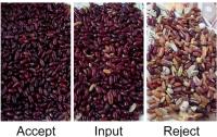 China Automatic CCD RGB Bean Color Sorter for sale