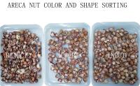 China 256 Channels Nuts Color Sorter 4 Chutes 99% Sorting Accuracy for sale