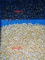 China Easy Operation full automatic Grains Color Sorter with artificial intelligence for sale