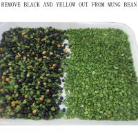 China Black White Kidney Beans Color Sorter 12 Chutes with co focusing system for sale