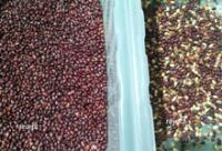 China Black White Kidney Beans Color Sorter 12 Chutes with co focusing system for sale