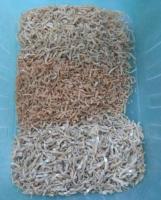 China High Efficiency RGB Nir Sensor Color Sorter For Dry Shrimp Sorting for sale