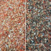 China High Efficiency RGB Nir Sensor Color Sorter For Dry Shrimp Sorting for sale
