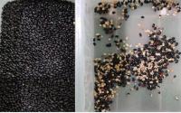 China 6 Chutes Multifunction Wenyao Color Sorter With NIR Camera Rust Protection for sale