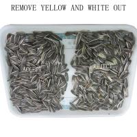 China 2 Chutes 3Tons/H Capacity Sunflower Seeds Color Sorter for Rice Wheat for sale
