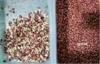 China Agricultural Machinery Peanut Color Sorting Machine Peanut Color Sorter for sale
