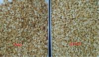 China Agricultural Machinery Peanut Color Sorting Machine Peanut Color Sorter for sale