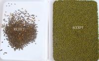 China 192 Channels MultiFunction Mung Bean Color Sorter Machine 3000kg/H for sale