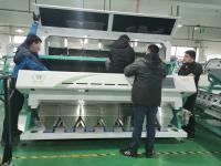 China 7 Chutes Multifunction Color Sorter For Cardamom Grading for sale
