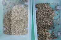 China Intelligent 1 Chute CCD Beans Color Sorter FPGA Chip For Coffee Bean for sale