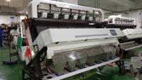 China 7 Chutes Almond RGB Nuts Color Sorter Machine For Apricot Kernels for sale