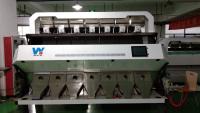 China 7 Chutes Almond RGB Nuts Color Sorter Machine For Apricot Kernels for sale