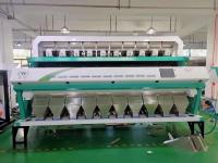 China Coffee Bean Sesame Seeds Color Sorter Machine With SMC Ejector for sale