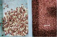 China 8 Chutes Almond Peanut Nuts Color Sorting Machine Meanwell Power Supply for sale