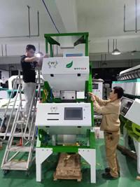 China Two Layers Green Black Tea Sorting Machine Removing Yellow Sticks for sale