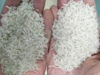 China Latest Market Price Automatic Rice Color Sorter For Rice Milling Plant for sale