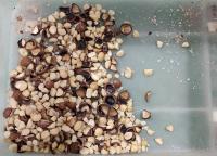 China Macadamia Nut Color Sorter Machine For Shell Kernel for sale