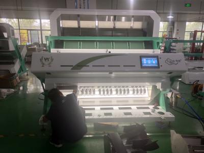 China Intelligent Vibratory Feeder Coffee Sesame Color Sorter With CCD Sensor for sale