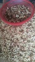China Mini Cashew Color Sorter Cashew Color Sorting Machine With 2 RGB Cameras 32 Channels for sale