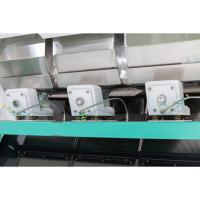 China Double Conveyor Belts Plastic Color Sorter Plastic Sorting Machine for sale