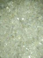 China 2 Chutes 60cm Belt Plastic Flake Sorter High Throughput for sale