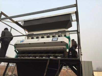 China WENYAO CCD Rice Millet Sesame Color Sorter 192 Channels for sale