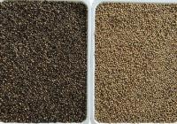China Multifunction Green Fresh Pepper White Black Pepper Cashew Colour Sorting Machine 320 Channels for sale