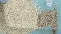 China WENYAO Energy Saving Low Consumption Long Lifespan Industrial Rice Color Sorter for sale
