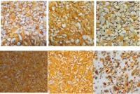 China 5400 Pixel CCD Corn Grain Color Sorting Machine Dust Cleaning 6T/H for sale