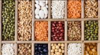 China 5 Chutes Bean Color Sorter Machine With LED Lighting Thermal Dissipation System for sale