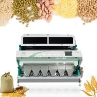 China RGB CCD 6 Chutes Soybean Color Sorting Machine Soya Bean Color Sorter 99.90% Accuracy for sale