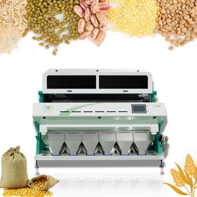 China RGB CCD 6 Chutes Soybean Color Sorting Machine Soya Bean Color Sorter 99.90% Accuracy for sale