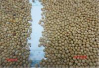 China High Accuracy CCD Optical Multifunction Garlic Color Separator Popular In Brazil for sale