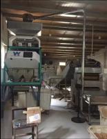China Macadamia Nut Seeds Bean Grain Color Sorting Machine 1 Chutes 64 Channels for sale