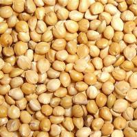 China CCD High Capacity Mini Millet Color Sorter Machine For Rice Mill Plant for sale