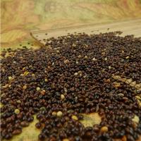 China CCD High Capacity Mini Millet Color Sorter Machine For Rice Mill Plant for sale