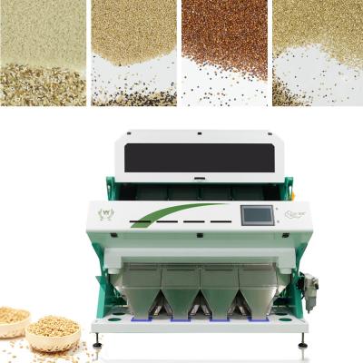 China LED Lights Optcal Glutinous Rice Color Sorter Accuracy Up to 99.99% hot in Thailand for sale