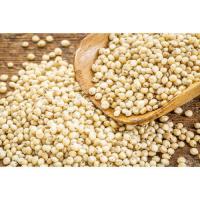China Hicapacity 10 Chutes 640 Channels Chinese Sorghum Rice Color Sorting Machine for sale