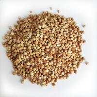China 128 Channels Wheat Grain Color Sorter 2 Chutes for sale